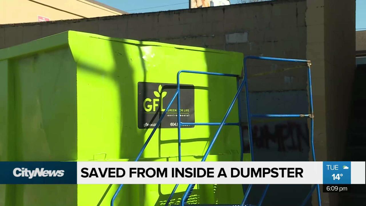 Saved from inside a dumpster - Video - CityNews Edmonton